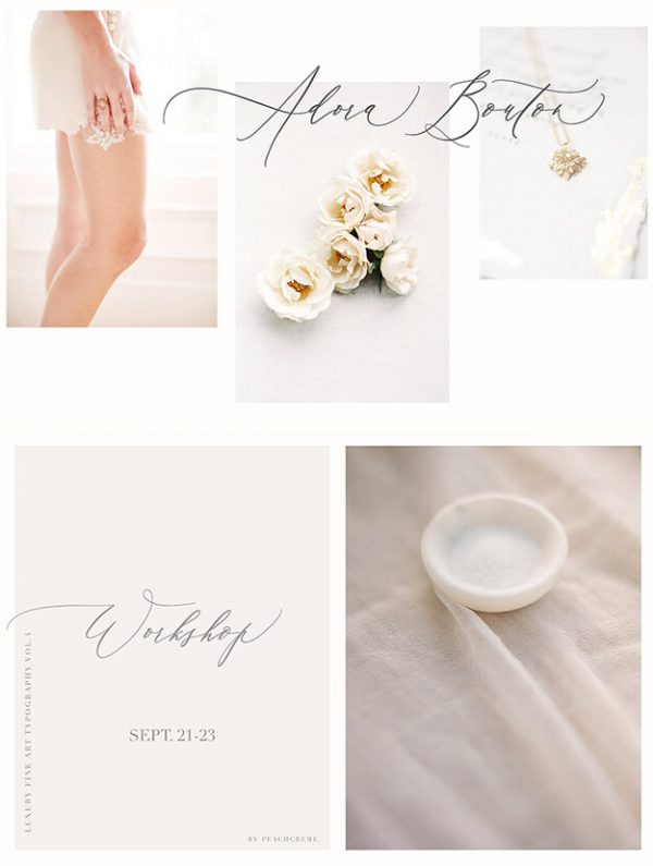 My Favorite Modern and Script Fonts + how to use them